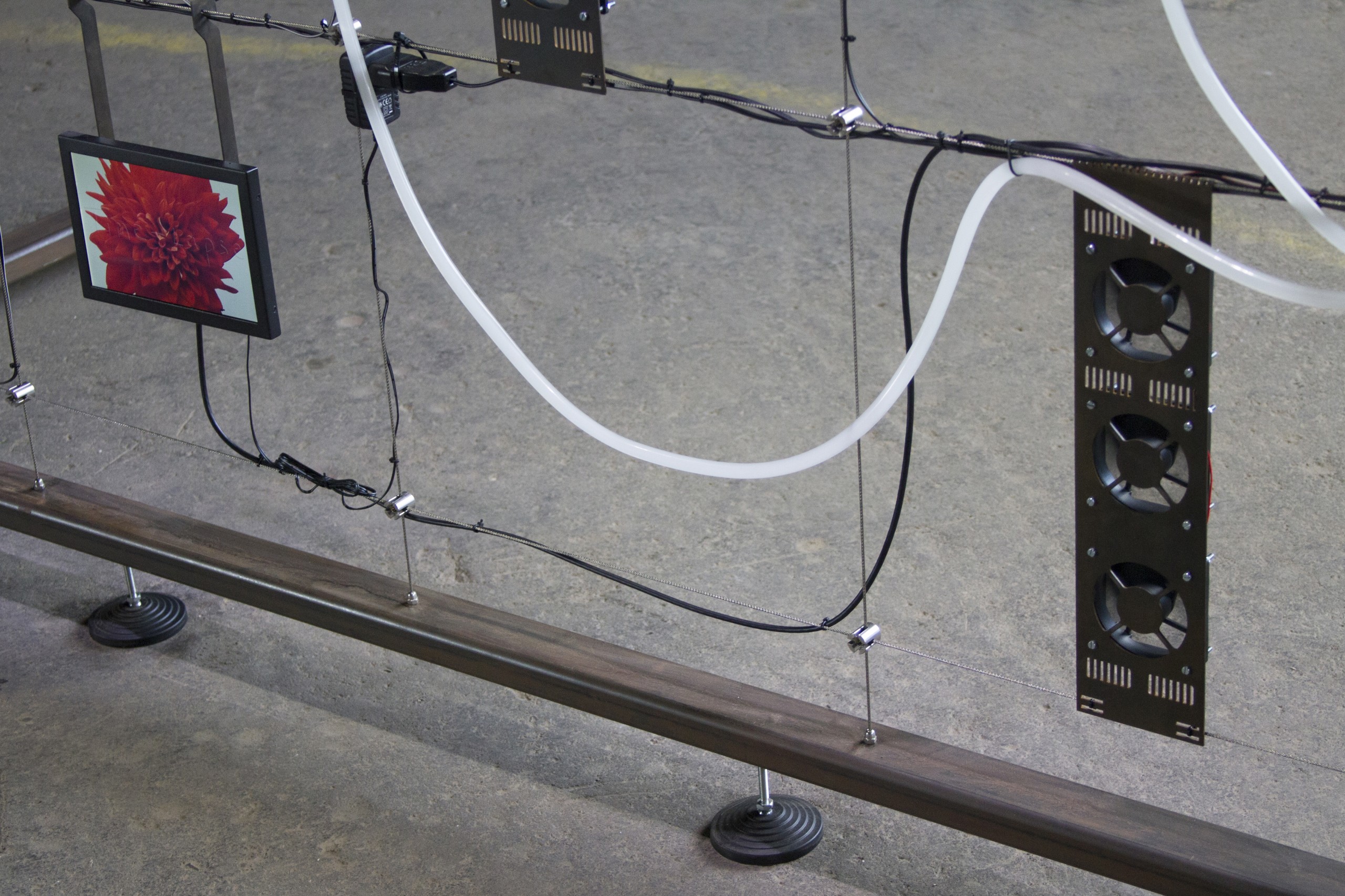 Thomas Pellerey Grogan — Floral Automaton