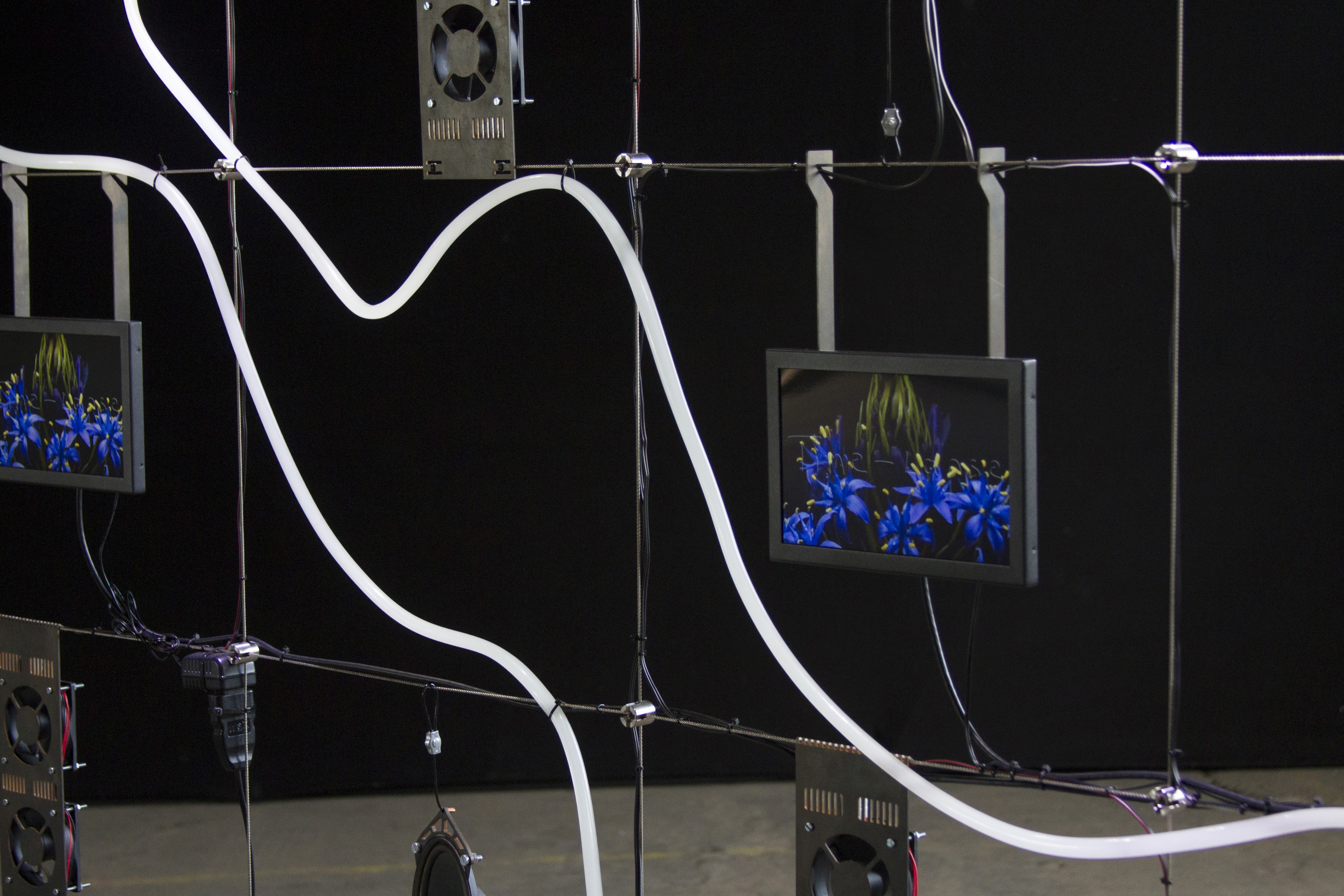 Thomas Pellerey Grogan — Floral Automaton