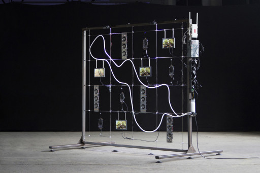 Thomas Pellerey Grogan — Floral Automaton